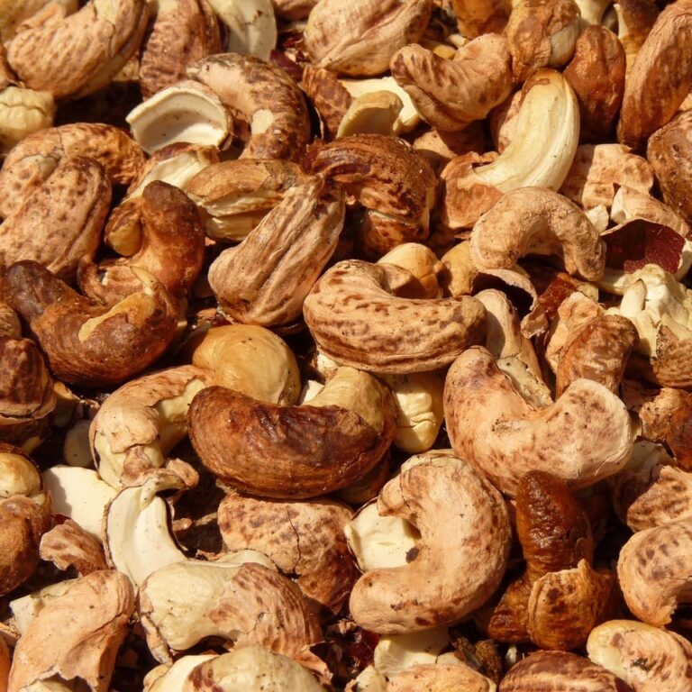 Cashew Grading Machine | Cashew Color Sorter Machine