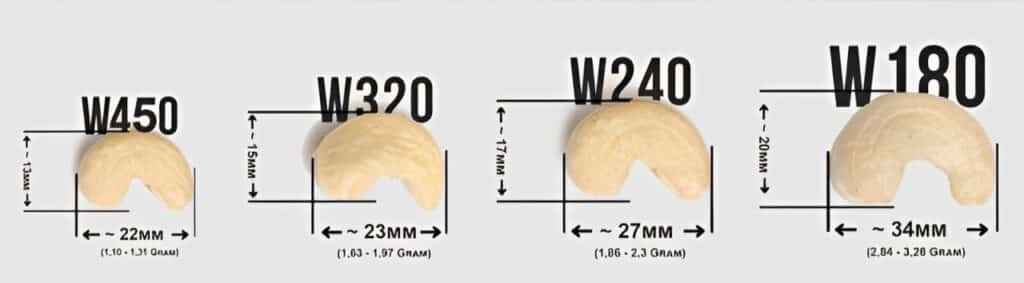 cashew size chart - Cashew Grading Machine | Cashew Color Sorter